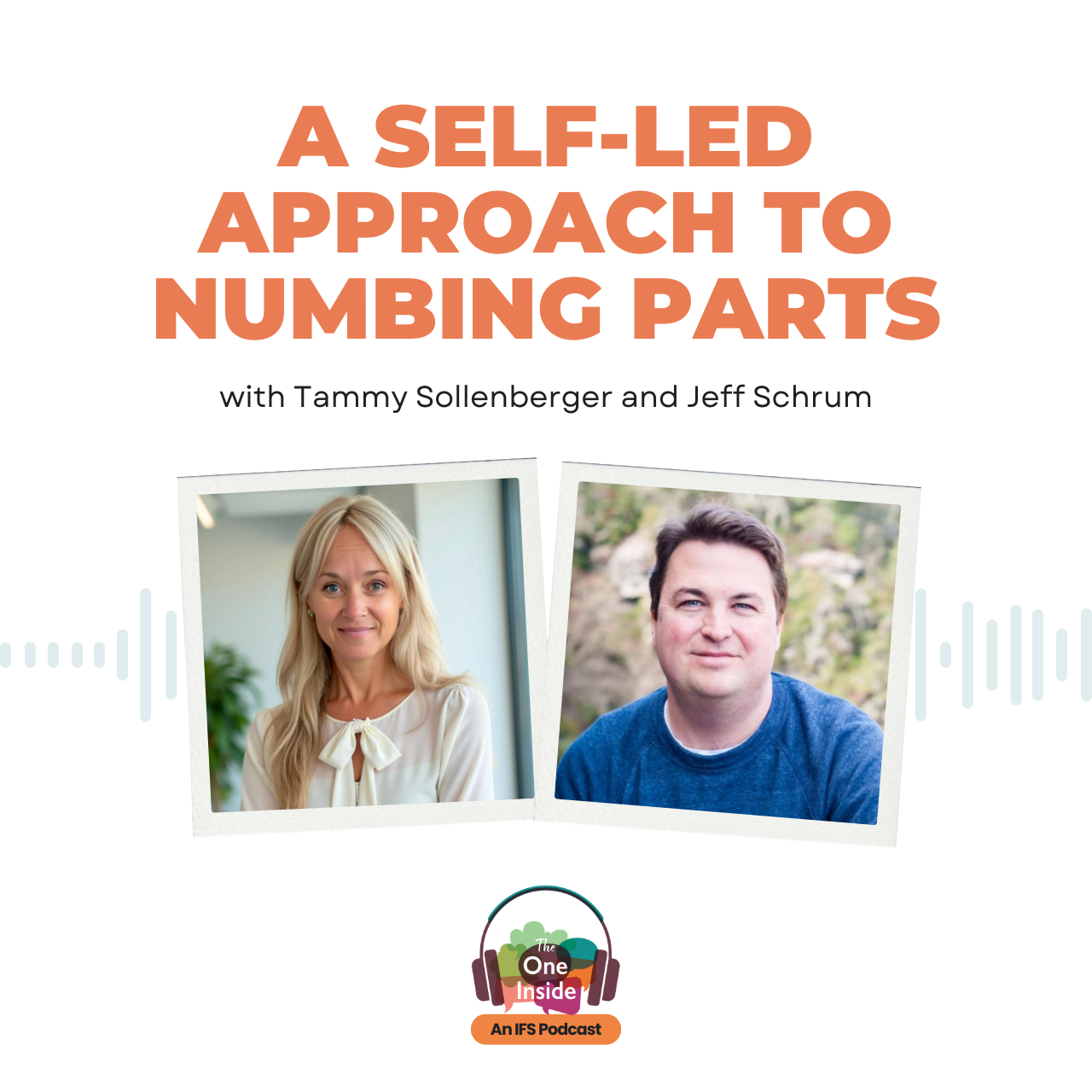 A Self-Led Approach to Numbiing Parts with Tammy Sollenberger and Jeff ...